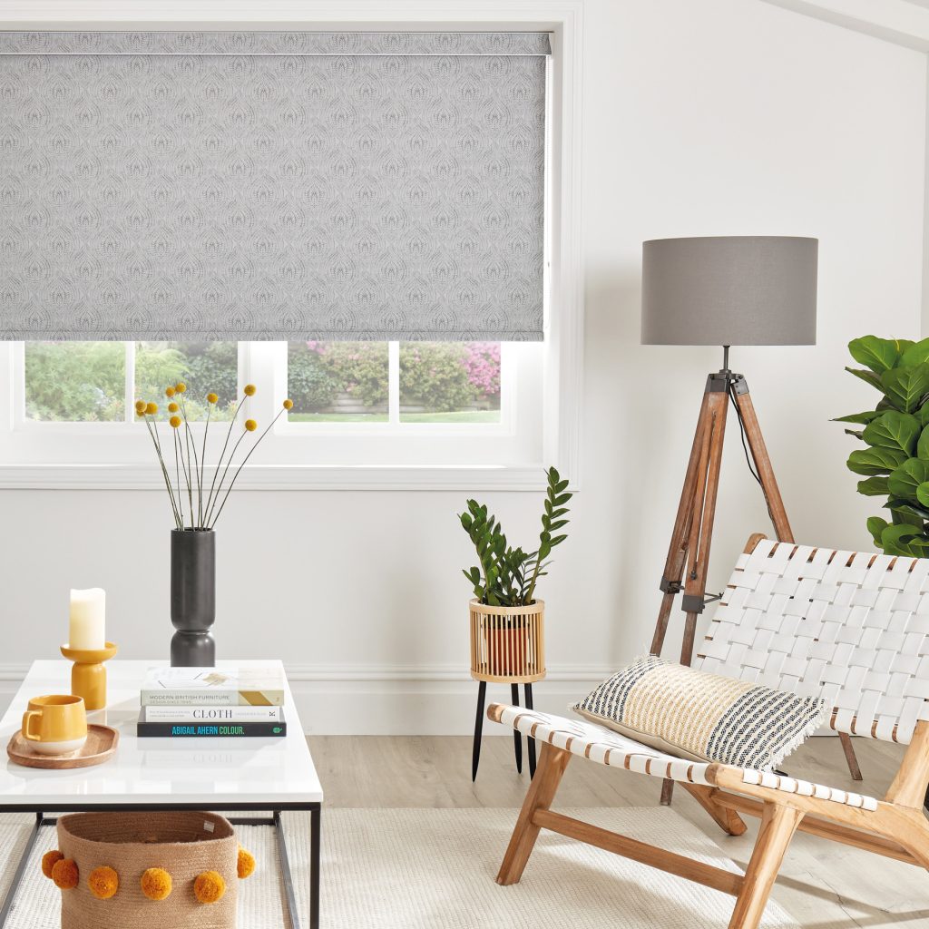 A Kaleidoscope of Hues: Exploring the Beauty of Venus Colours ...